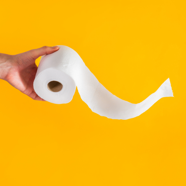 Bulk Toilet Paper | Wholesale Bathroom Tissue – Fletchers Supplies