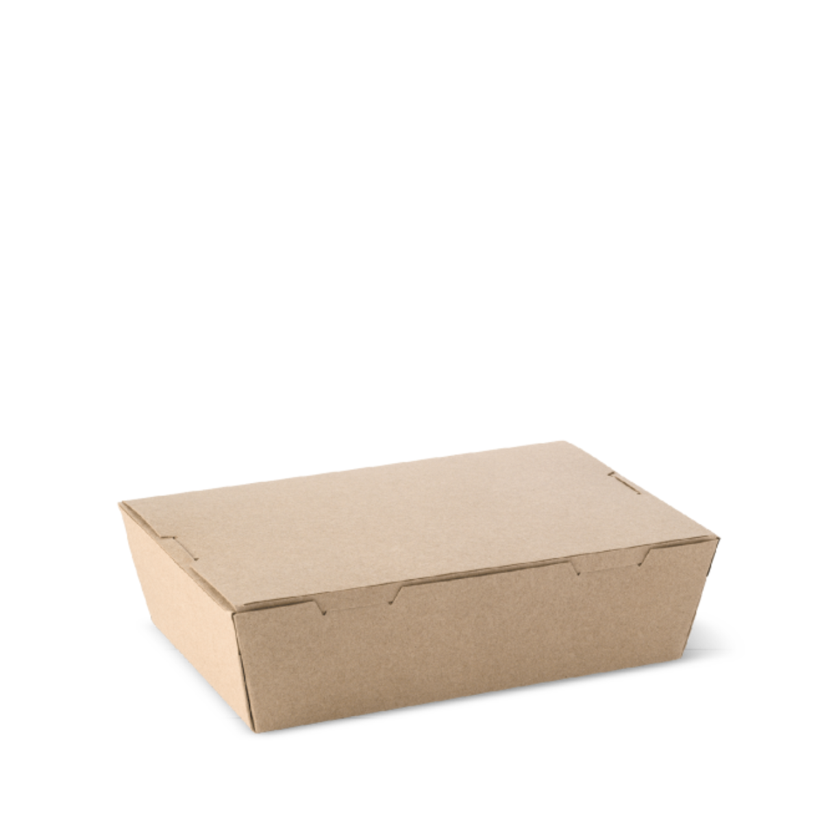 Detpak Compostable Lunch Box, Medium, PBS, 200 carton [L182S0010] (Ord ...